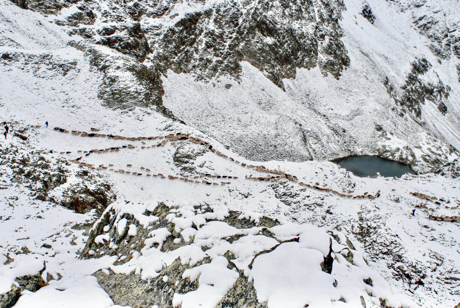 The story from the beginning to today – Transhumance