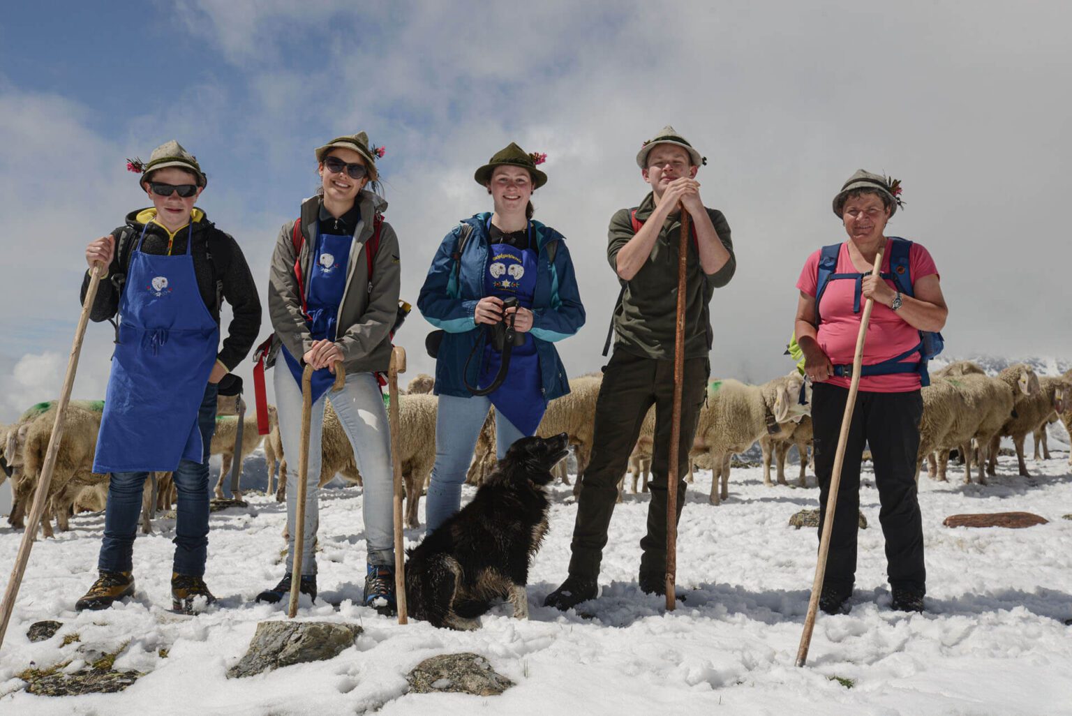 People who belong to transhumance like wool to sheep – Transhumance