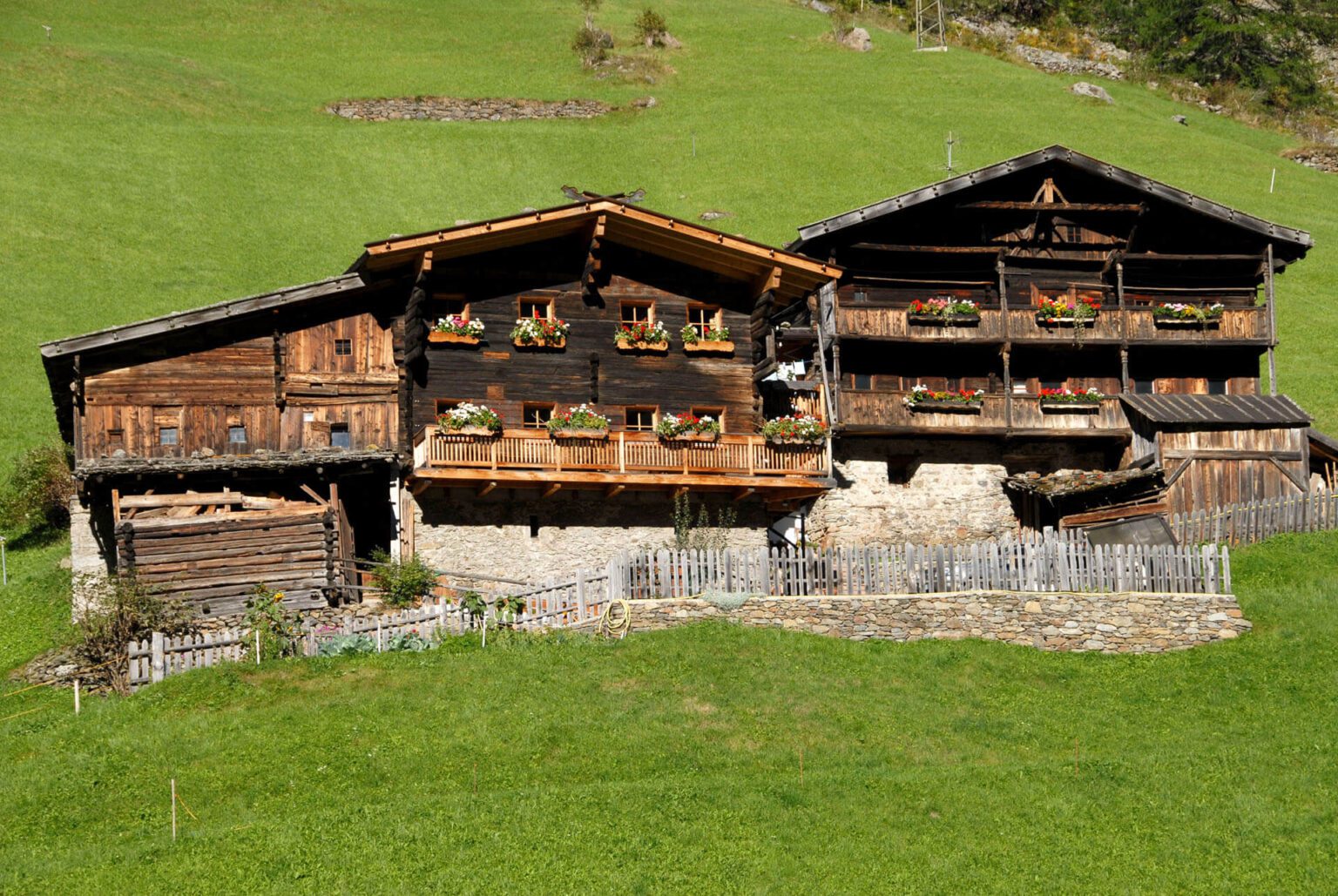 The story from the beginning to today – Transhumance