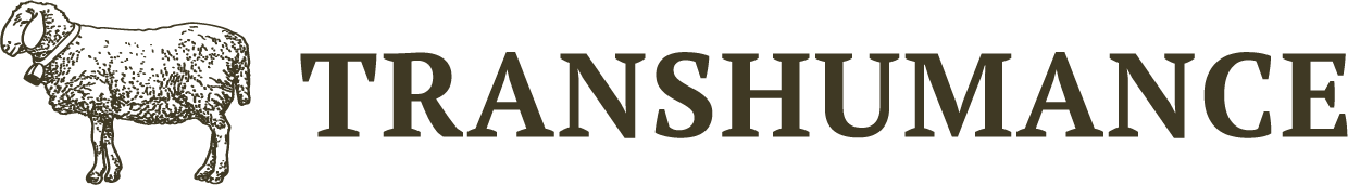 Transhumance – the path of the sheep from Schnalstal to Ötztal